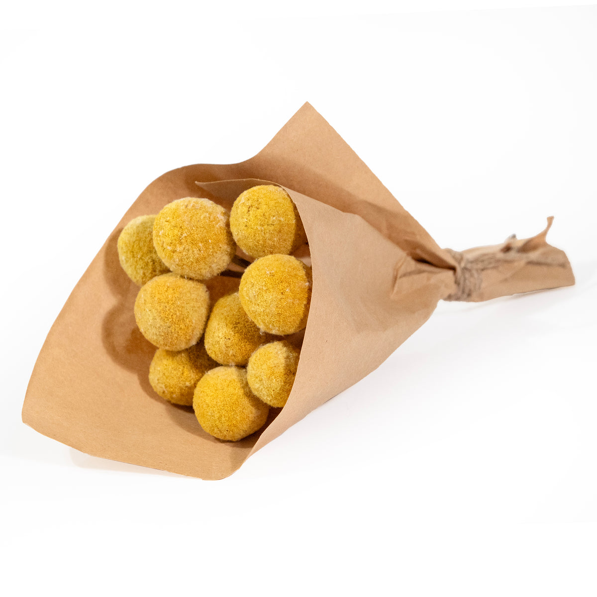 MINI Billy Button Bundle — Andaluca Home