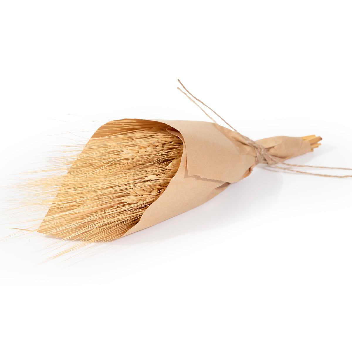 MINI Wheat Bundle — Andaluca Home